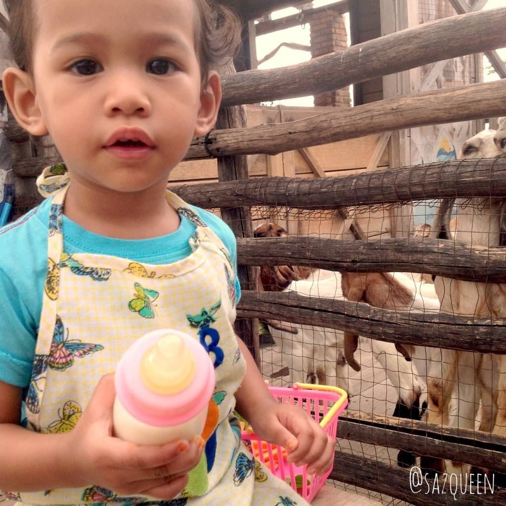 Mommies Daily - Peternakan Mini Lactasari